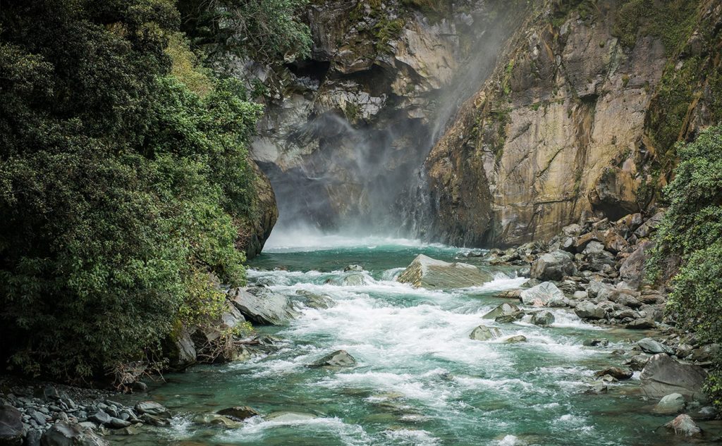 6 Day Hollyford Track Experience | Relaxing Journeys