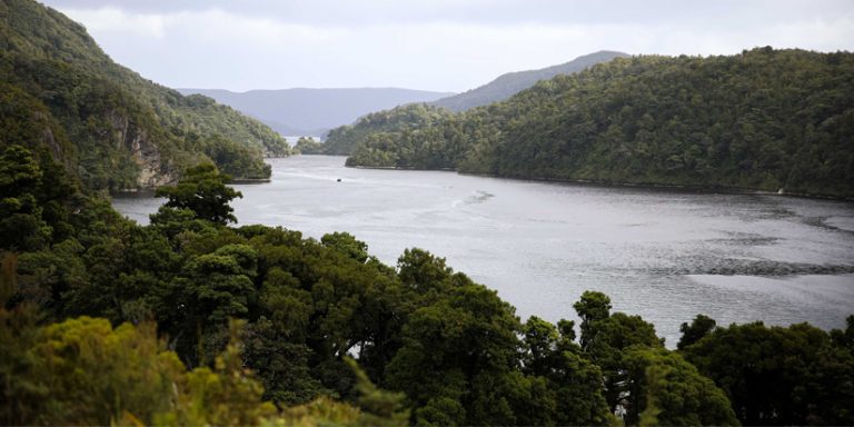 Destination Dusky Sound | New Zealand Cruises | Relaxing Journeys