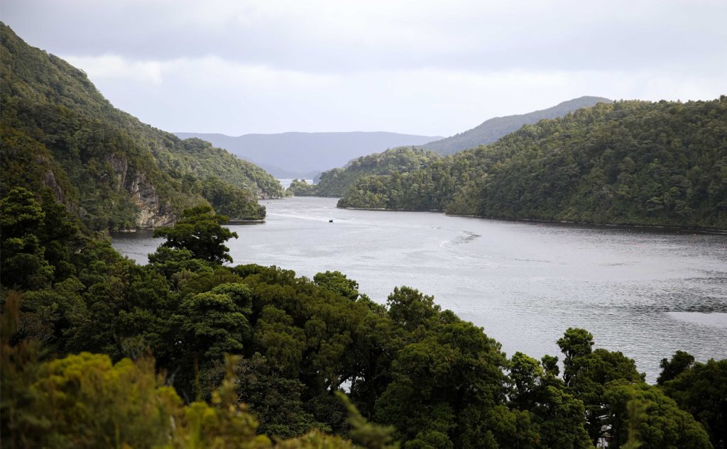 5 Day Undiscovered Dusky Sound | Relaxing Journeys