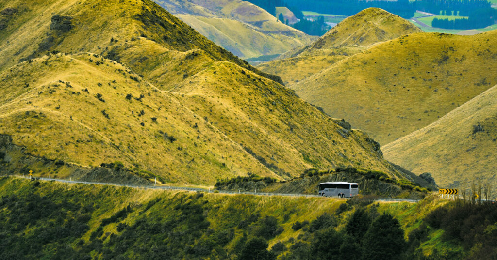 What’s the Difference Between These Coach Tour Operators? | Relaxing ...